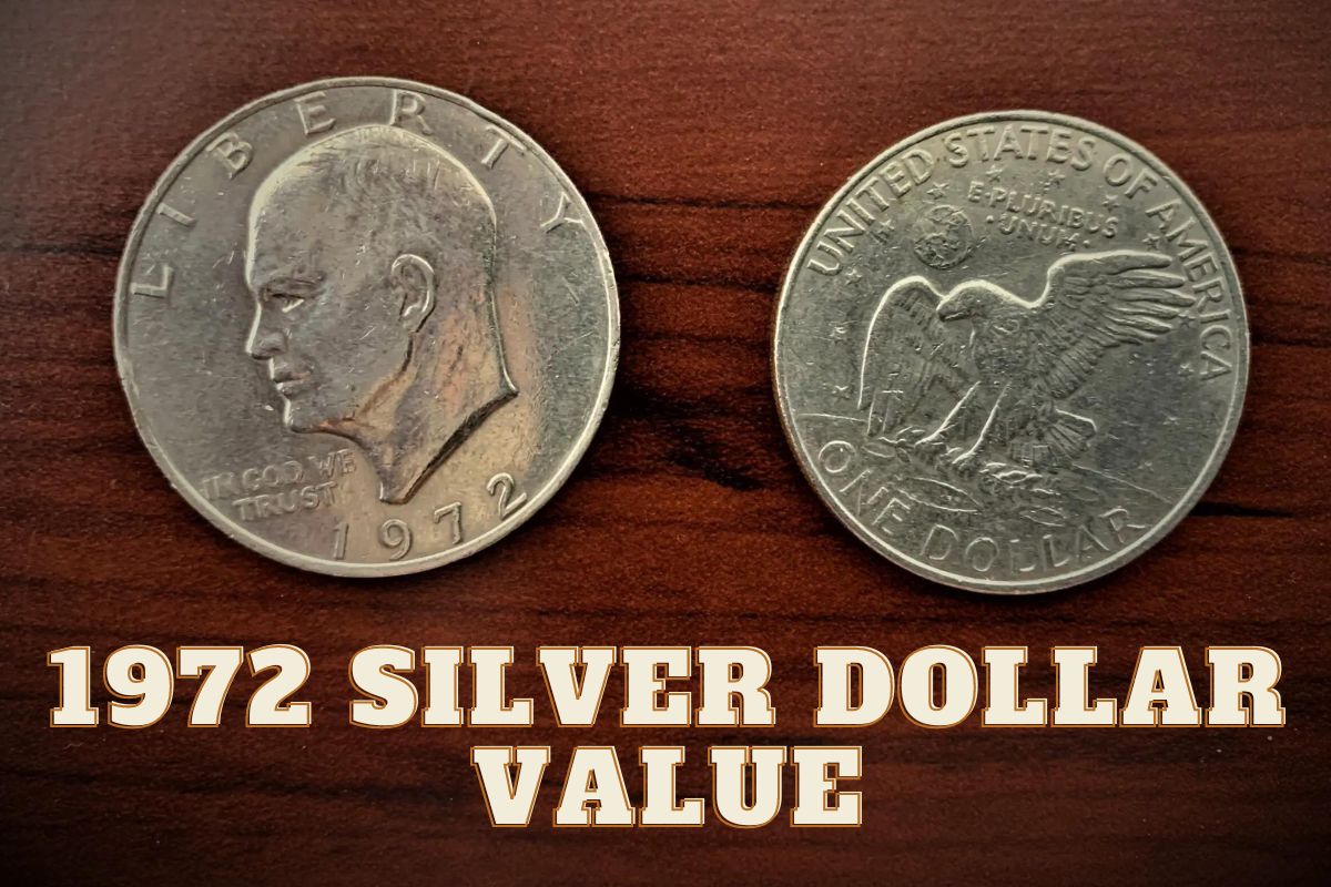 1776 to 1976 Silver Dollar Value (Current Value & Essential Tips ...