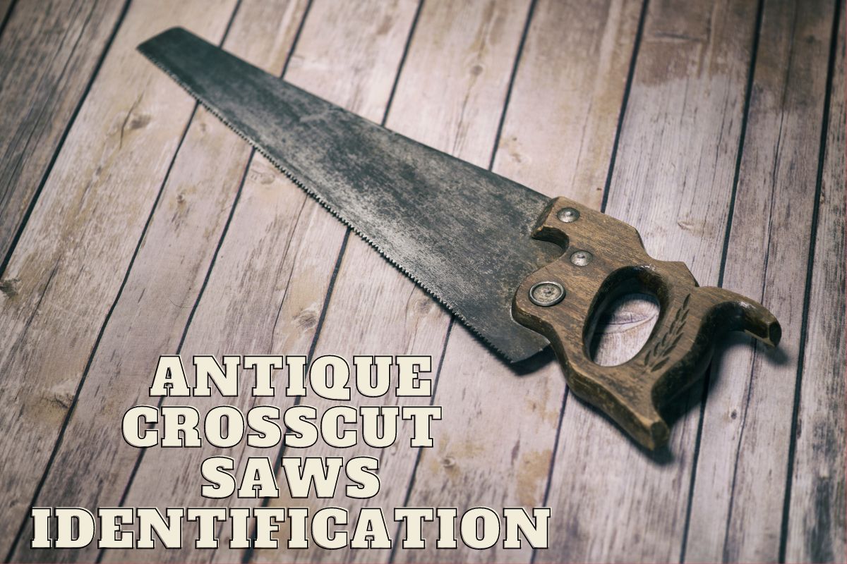 Antique Crosscut Saws Identification (A Complete Guide) - Future Art Fair